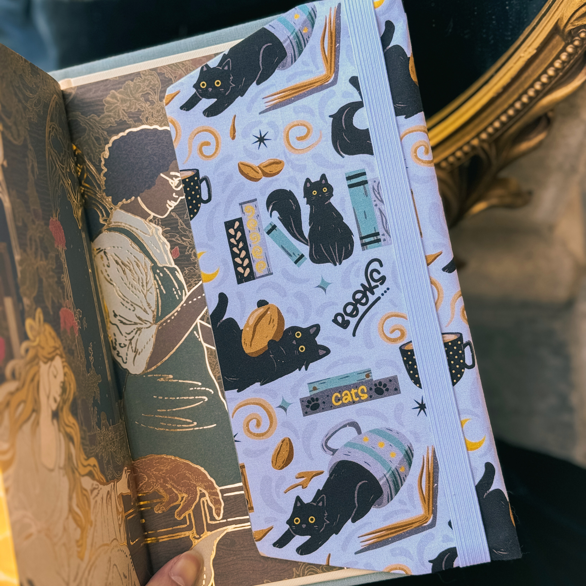 Feline Fables fabric dust jacket – Charlie and Fox